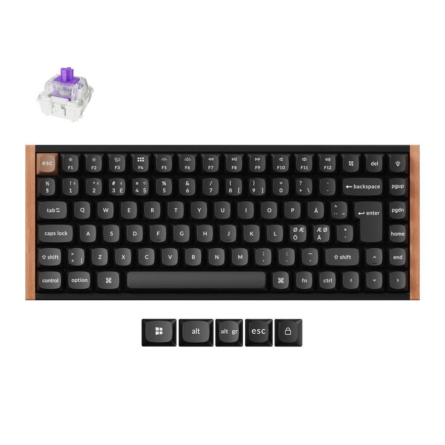Keychron K2 HE Wireless Magnetic Switch Custom Keyboard – Keychron Malaysia